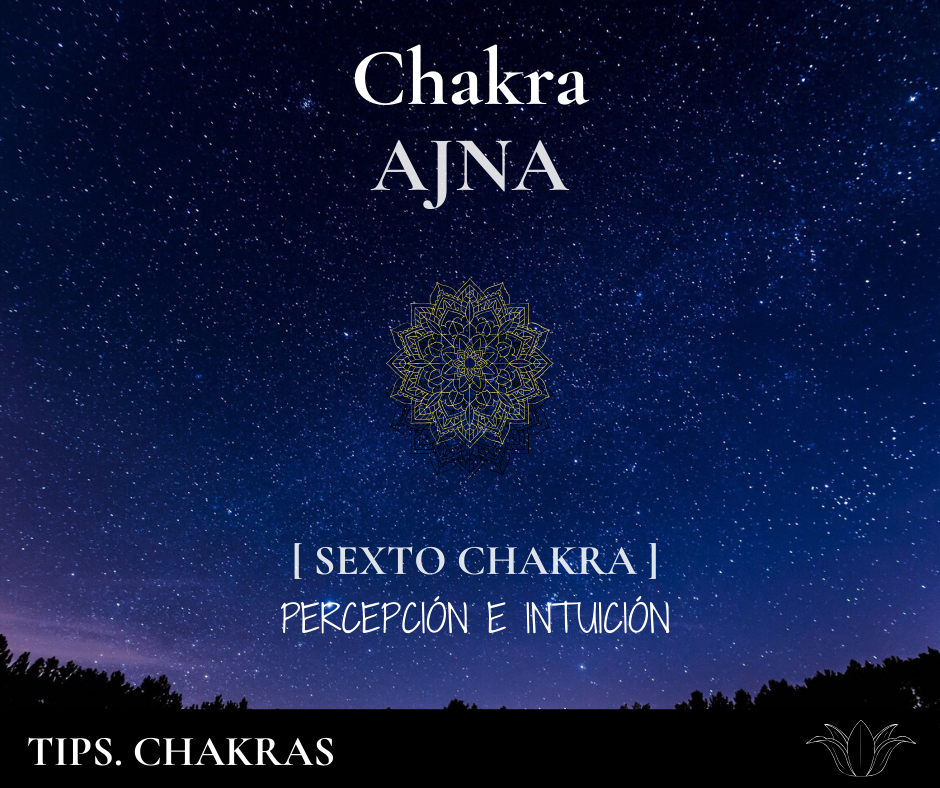 Chakra Ajna – ESTUDIOFLOW